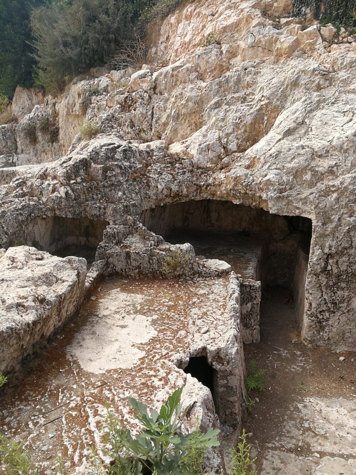 Biblical Tour of Jerusalem – Gal Klil Tour Guide